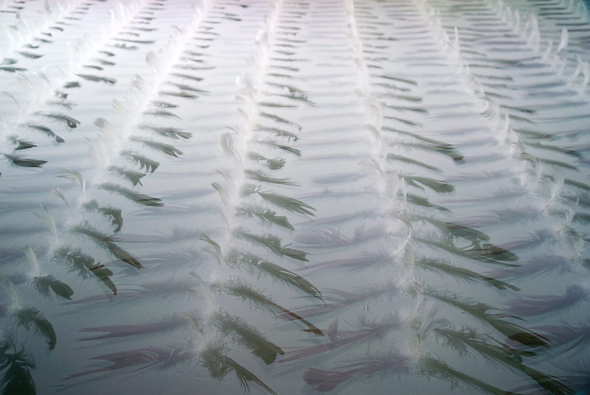 Patrick Beaulieu Petite fabrique de l'âme – Esse